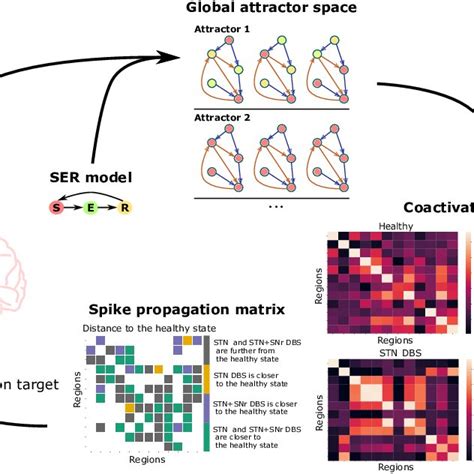 Network Based Computational Framework To Explain The Effects Of