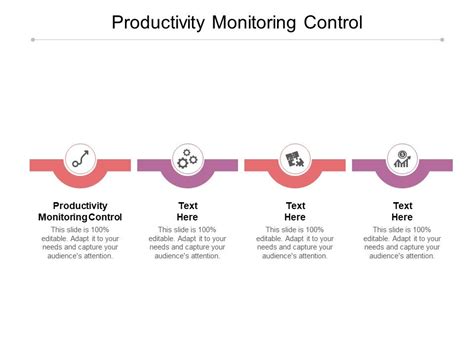 Productivity Monitoring Control Ppt Powerpoint Presentation Ideas Icons Cpb