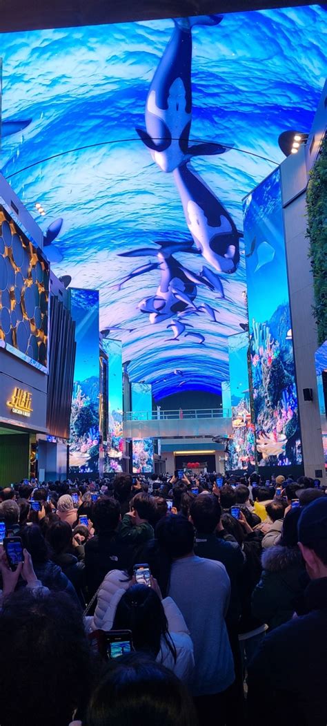 [인스파이어 엔터테인먼트 리조트] 오로라 핑크고래 보고 옴 영종도 가볼만한 곳 주차정보 네이버 블로그