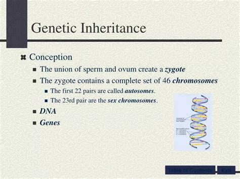 Ppt Genetic Inheritance Powerpoint Presentation Free Download Id 1789568