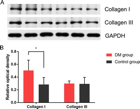 Western Blotting And Quantitative Results Of Dm Group N 40 And