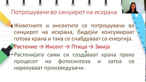 Vi одделение Природни науки Синџир на исхрана потрошувачи Youtube