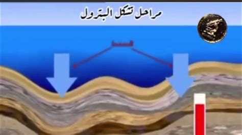 مراحل تشكل البترول للسنة الثالثةمتوسط علومالطبيعةوالحياة Youtube