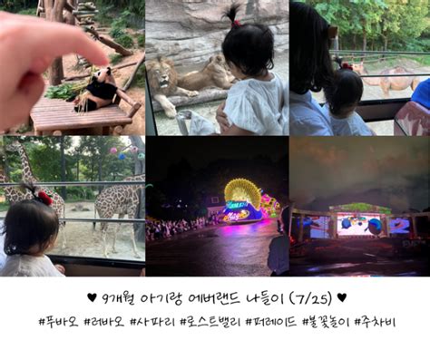 9개월 아기와 오후 에버랜드 방문기 사파리 로스트벨리 퍼레이드쇼 불꽃놀이 네이버 블로그
