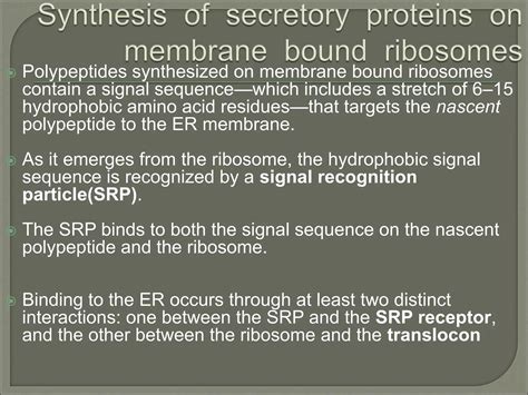 Membrane Protein Synthesis By Ppt