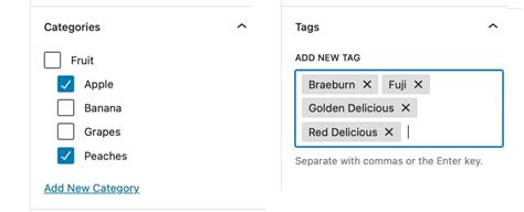 wordpress tags explained what are wordpress tags