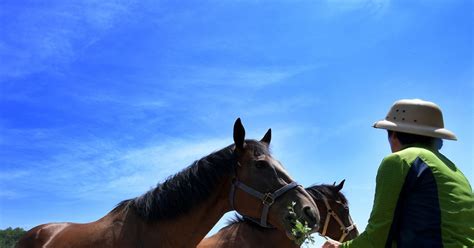 천고마비 성큼 다가온 가을하늘