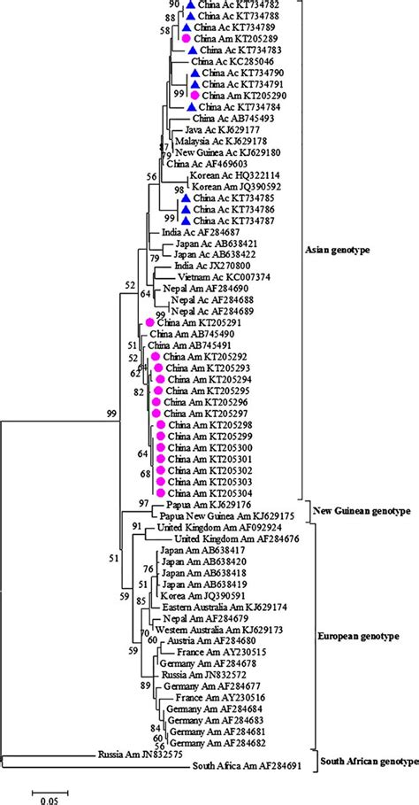 Evidence Of Apis Cerana Sacbrood Virus Infection In Apis Mellifera