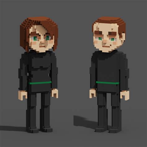 Voxel Human Adult Models By Kalxaldev