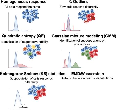 Figure 2 From High Throughput Microscopy And Single Cell Phenotypic Image Based Analysis In