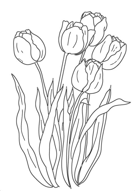 チューリップ｜高齢者用塗り絵無料プリント ぬり絵の力
