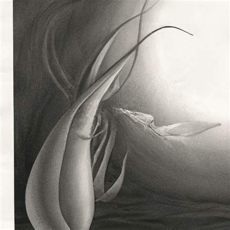 Unexpected Party Crashers Nvidia Driver Vulnerabilities Uninvited