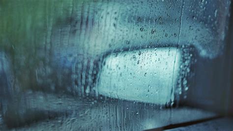 Driving Home In The Rain A Poem By Sophia Hoff Well Trained Mind