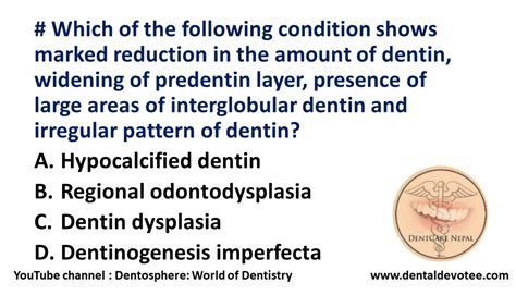 Marked Reduction In The Amount Of Dentin Widening Of Predentin Layer Presence Of Large Areas