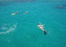 St Croix Snorkeling And Snorkeling Tours Best Snorkeling Sites Us