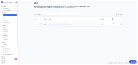 ngrok内网穿透 csdn博客