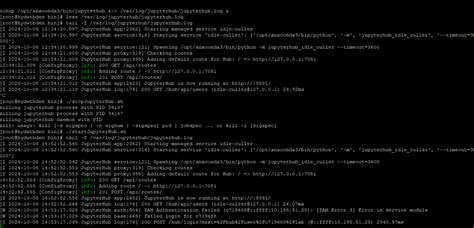 Facing Issue While Logging To Jupyterhub It Shows Invalid Username Or