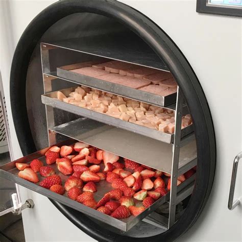 Vacuum Freeze Dryer Fruit Freeze Dried Food Machine Freeze Drying