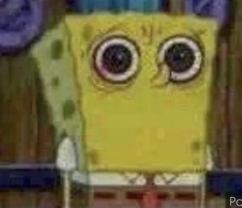Did Anyone Ever Used An Image Of Spongebob Bootleg Fandom