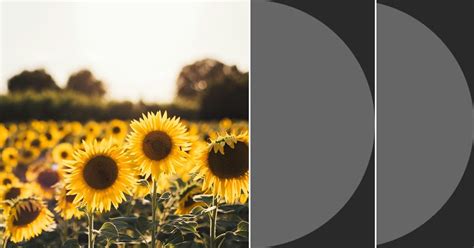 List Ml Ops Curated By Julian Klitzing Medium