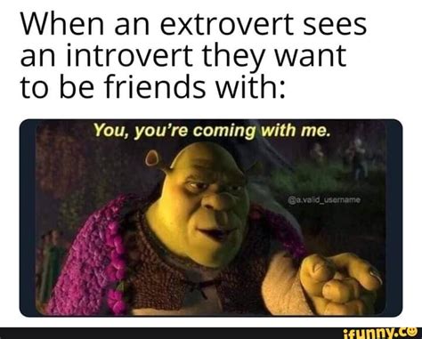 When An Extrovert Sees An Introvert They Want To Be Friends With You