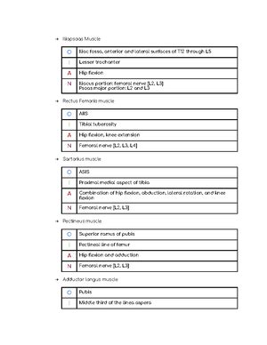 MMT Strength Grading Manual Muscle Test MMT Strength Grade Numerical Grade Descriptive Grade