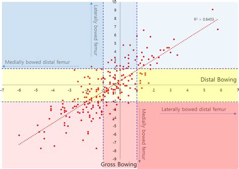 Correlation Between Distal Femoral Bowing And Gross Bowing In Male Download Scientific Diagram