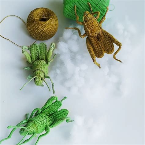 Grasshopper Crochet Pattern Cute Toy Pattern Brooch Guide Inspire