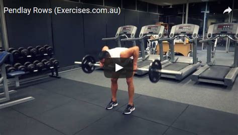 Pendlay Rows Trainer Guided 141 Min Step By Step Video