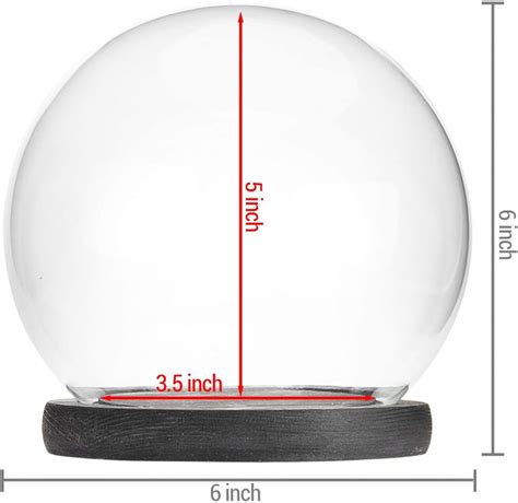 6 Inch Clear Glass Terrarium And Keepsake Display Globe Cloche With Bl Myt