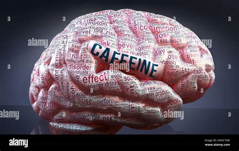 Caffeine In Human Brain Hundreds Of Crucial Terms Related To Caffeine Projected Onto A Cortex