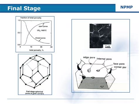 Solid State Sintering Fundamentals Ppt