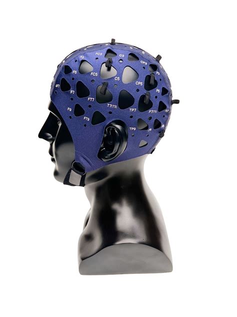 10 10 Eeg Cap Synchroni Scientific Instruments Inc