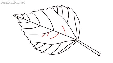 How To Draw A Leaf Step By Step Easydrawings Net