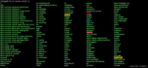 万字详解，吃透 Linux 常用命令！ 知乎