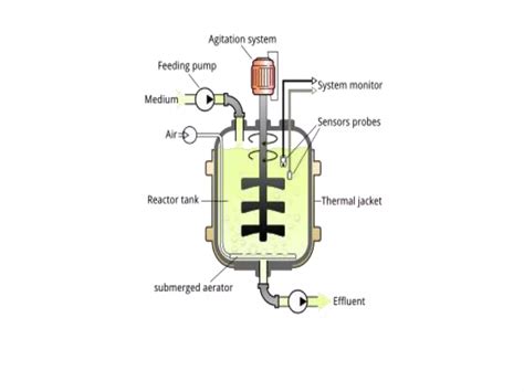 FERMENTATION TYPES PPTX