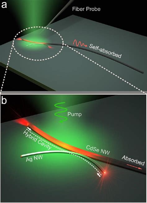Coupling Effect Nanowire At Lester Watkins Blog