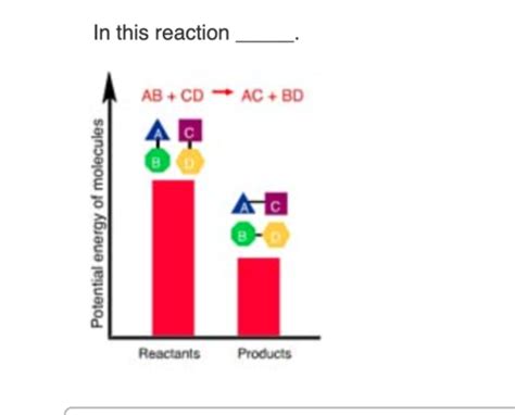 BIO 111 Chapter 7 Flashcards Quizlet