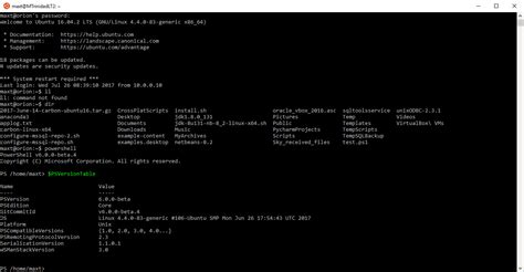 Missing Bash Colors · Issue 4298 · Powershellpowershell · Github