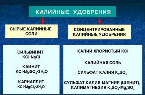 Клематис Лютер Бербанк. Фото, описание сорта, отзывы