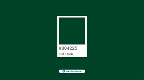 Angel Green Color 004225 Hex Color Conversion Color Schemes Color Shades Pantone Color