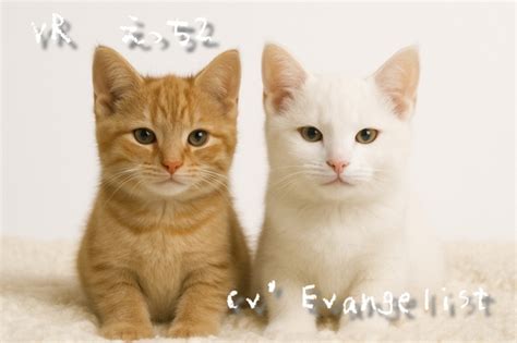 【30off】【完全生音濃密密着sex】vr えっち2 Evangelist Asmr Dlsite 女子狂热