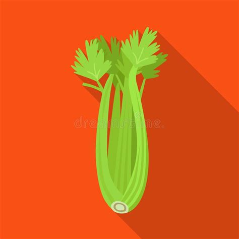 Vector Design Of Celery And Bunch Sign Graphic Of Celery And Stick Stock Vector Illustration