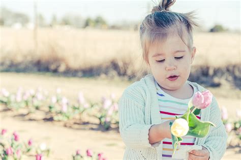 Founders Classical Founders Classical Academy Online