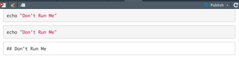R Preventing Bash Chunk From Being Evaluated In Rmarkdown Stack