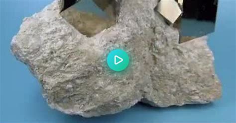 Apollo App  Bug Album On Imgur