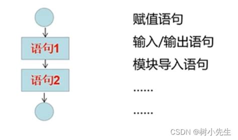 零基础学python之程序的组织结构（顺序、选择 分支、循环）。超详细，你值得拥有。 python 顺序结构 csdn博客