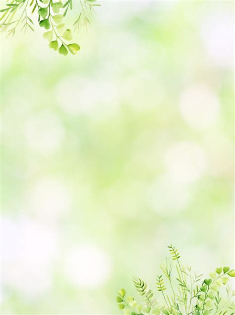 Вертикальные фоны для презентации природа 62 фото