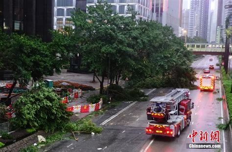 强台风“山竹”袭击香港大量树木倒塌 新闻频道 长城网