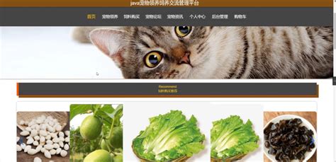 Springboot Vue